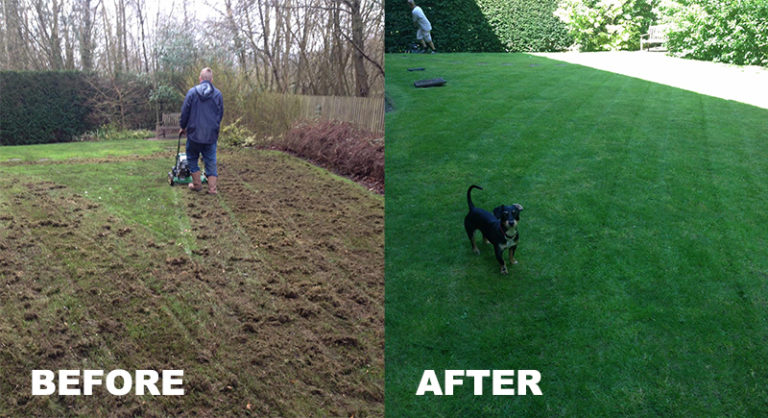 Professional Lawn Scarification Service - Mow and Go